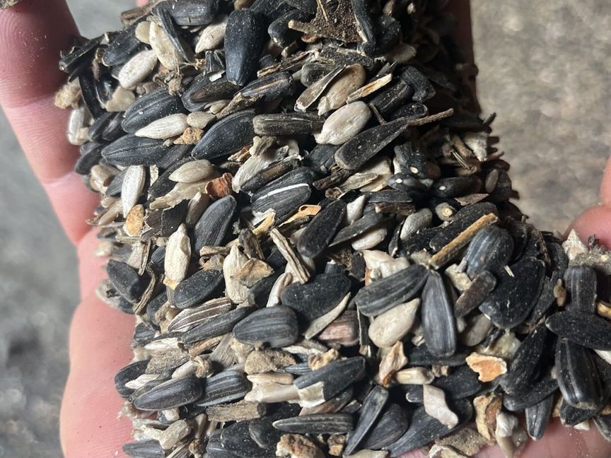 Отходы подсолнечника