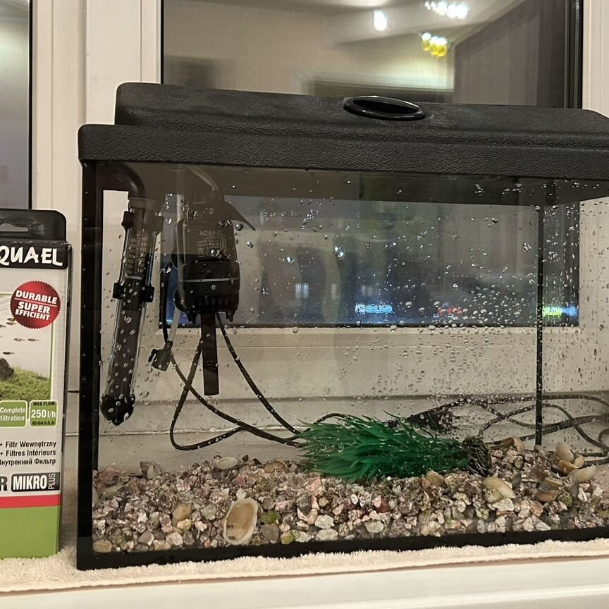Аквариум