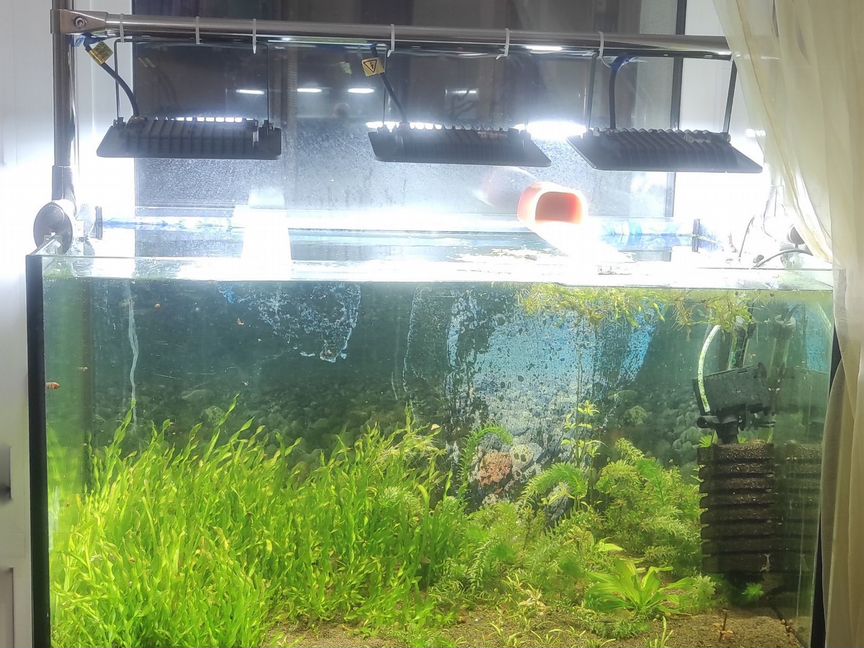 Аквариум 250л