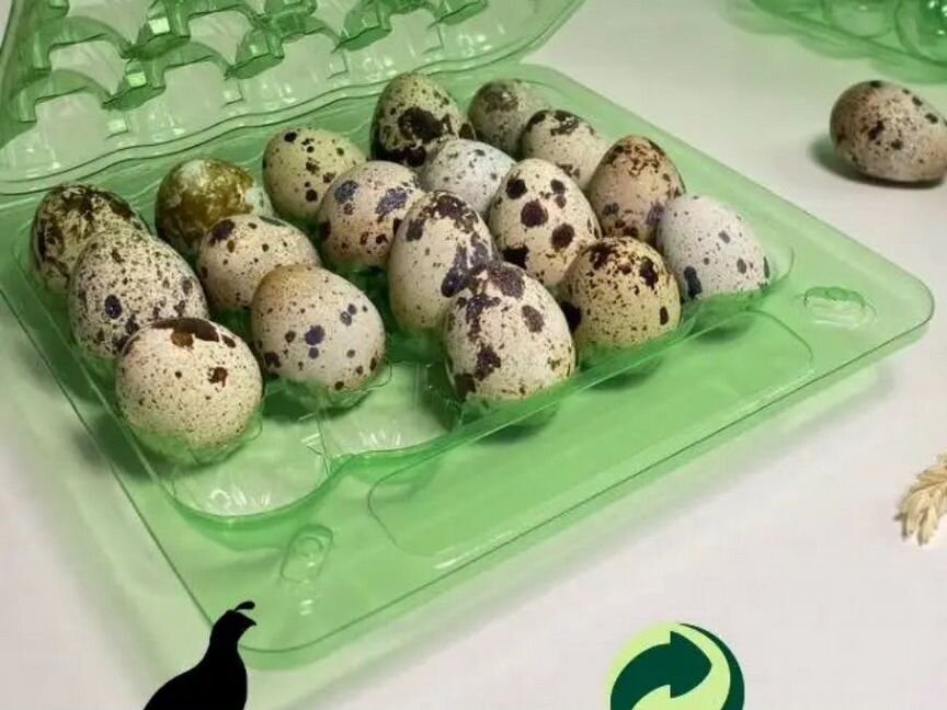 Яйца перепелиные упаковка