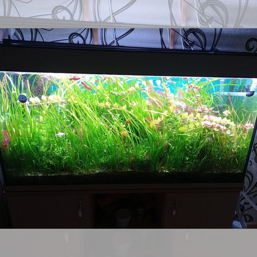 Украшения для аквариума