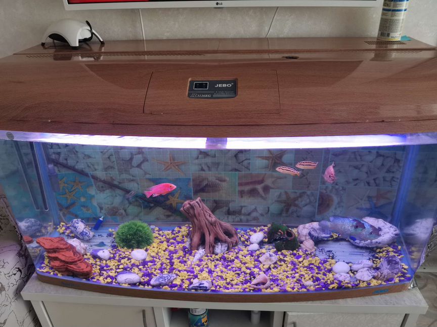 Аквариум jebo 290 литров