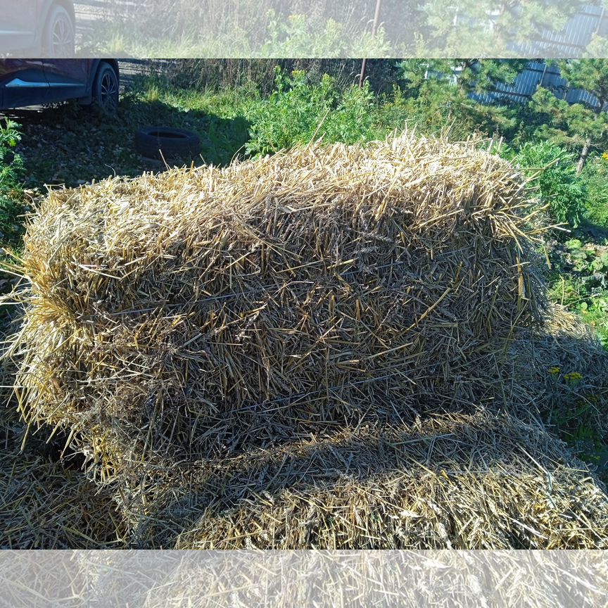 Сено в тюках