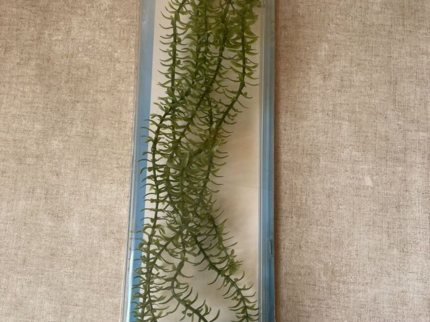 Водоросли для аквариума (пластик)