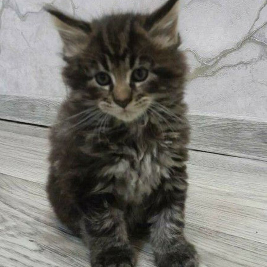 Антидепрессанты в твой дом парни и девчата