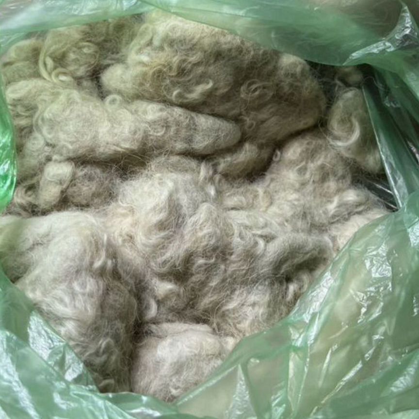 Шерсть собачья