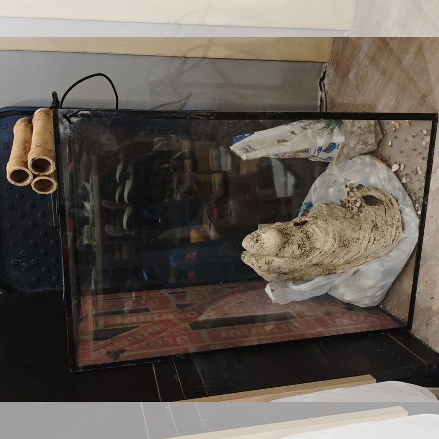 Аквариум бу 60 литров