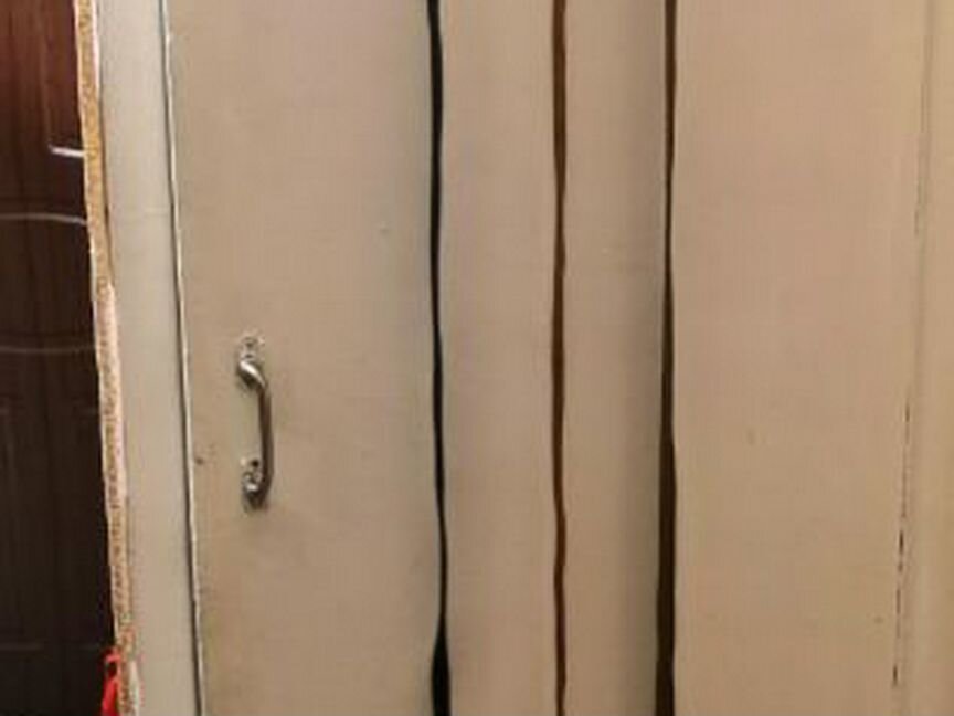 Аксессуары для собаки