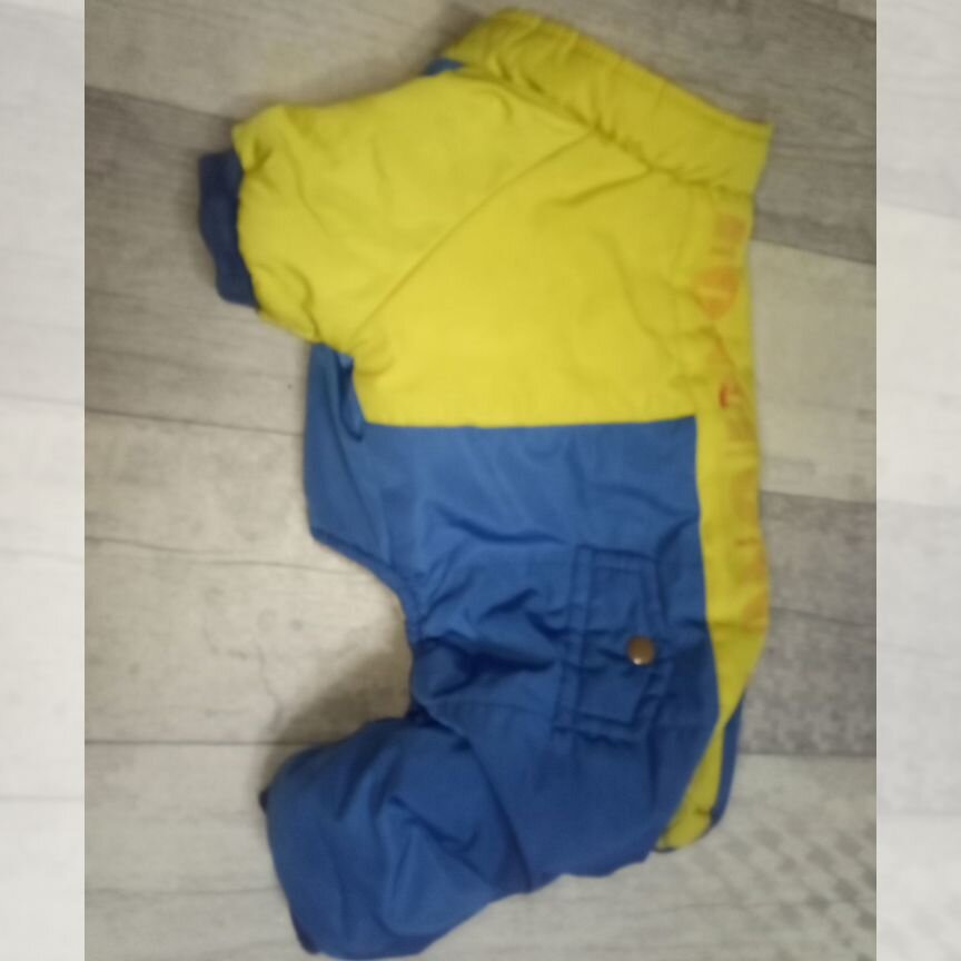 Одежда для собак