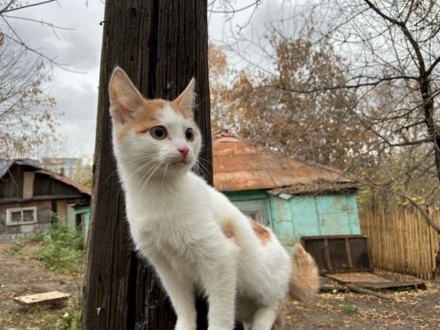 Милый плюшевый мальчик