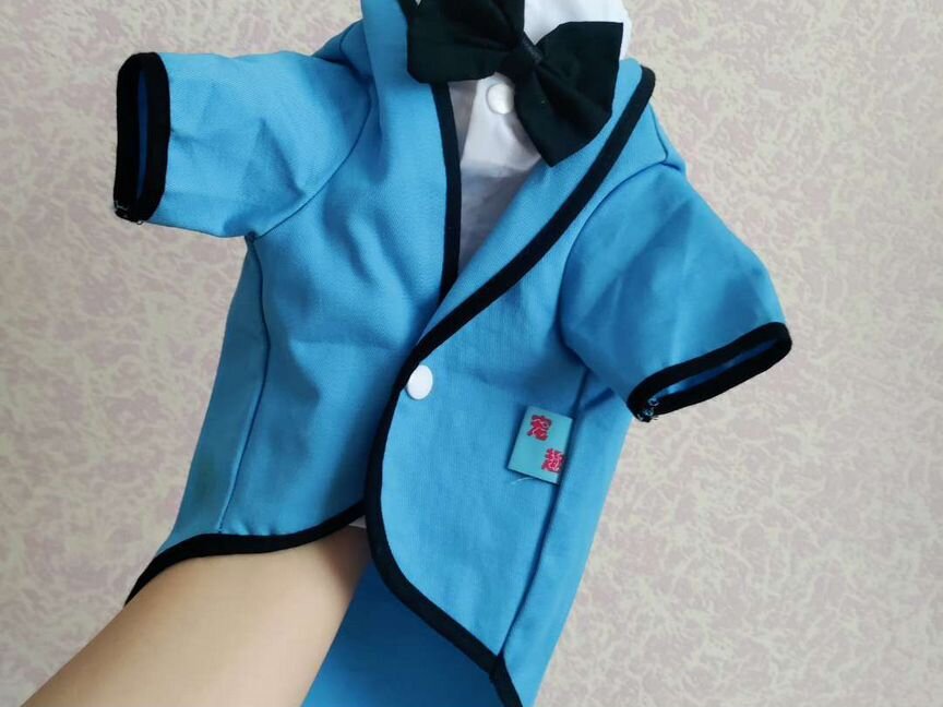 Одежда для маленьких собак