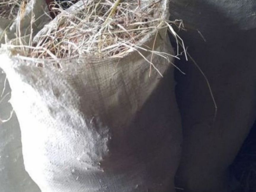 Продаю сено