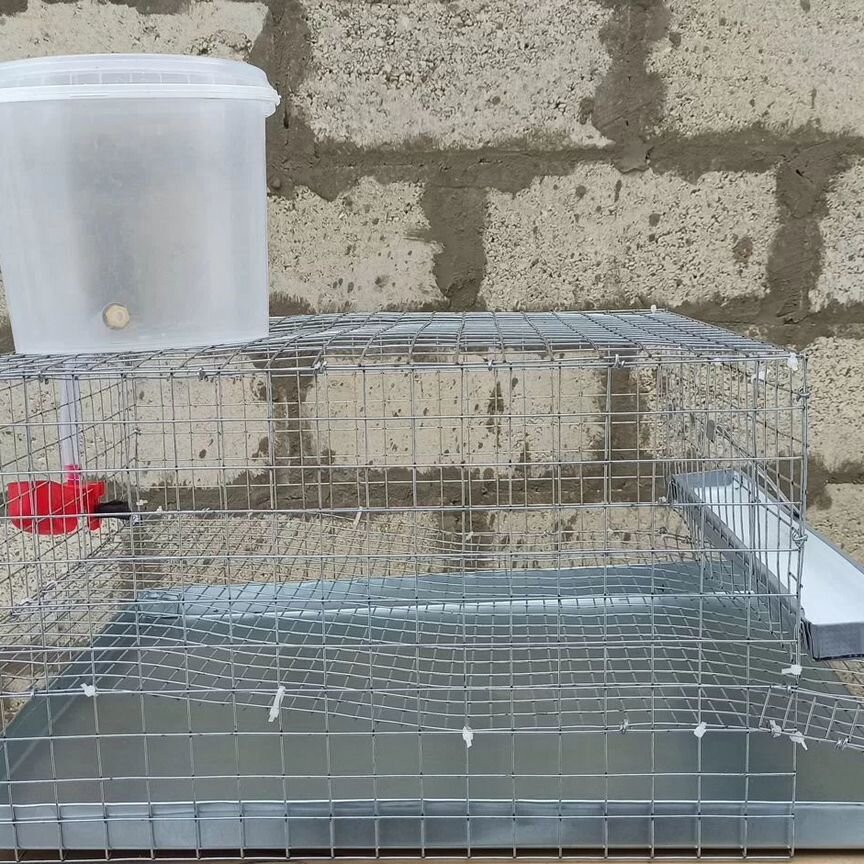 Клетка для перепелов