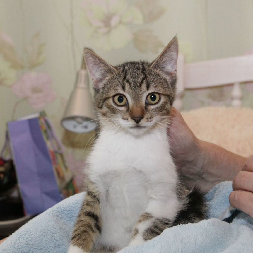 Девочка подросток Маша 5 месяцев в дар