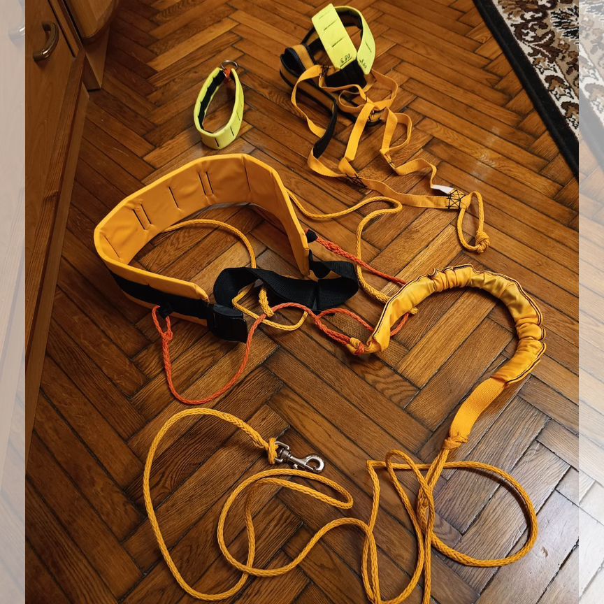 Комплект для ездовой собаки