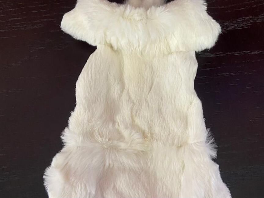 Одежда для маленьких собак xs s