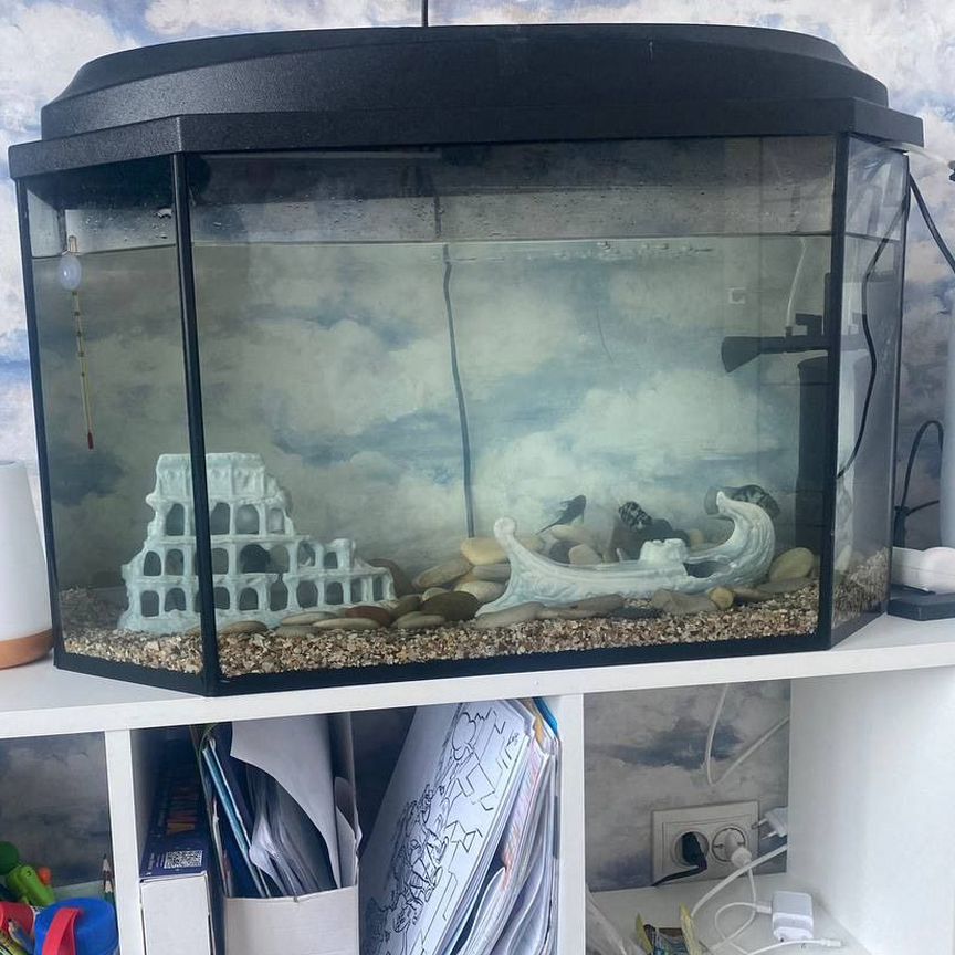 Аквариум с рыбками