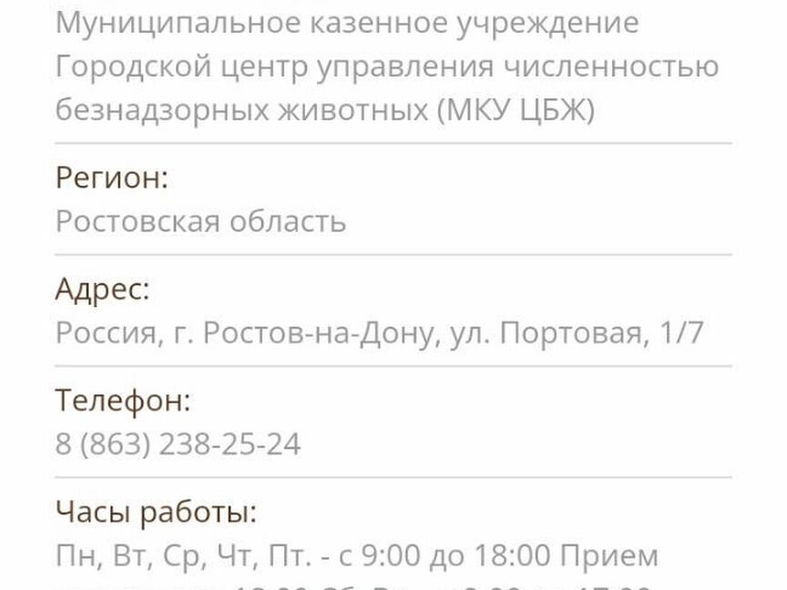 Отдам щенка в добрые руки, фото будет вечером