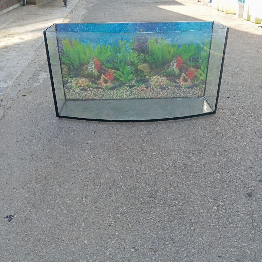 Аквариум