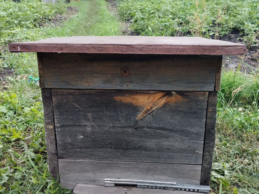 Улей для пчел бу