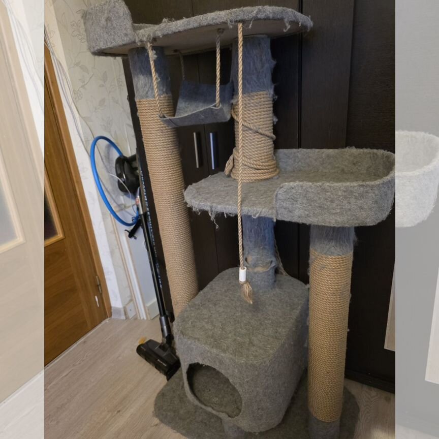 Когтеточка для кошек бу