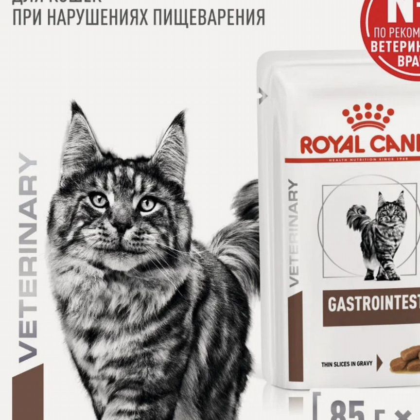 Корм для кошек royal canin