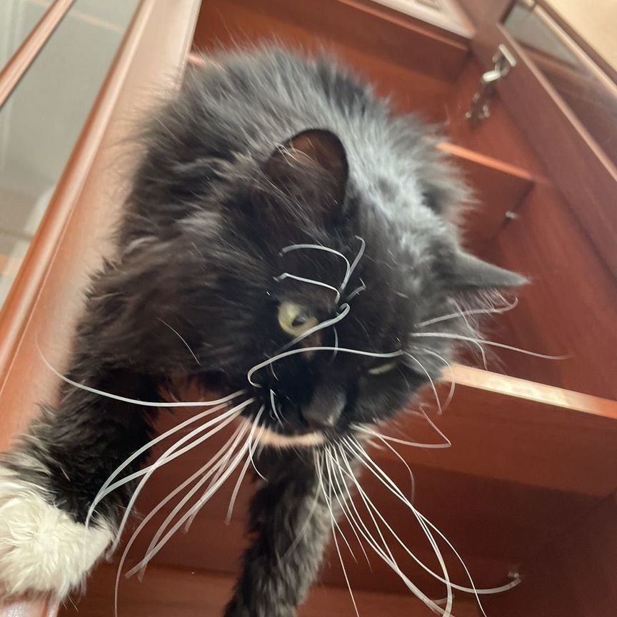 Падаю из шкафа