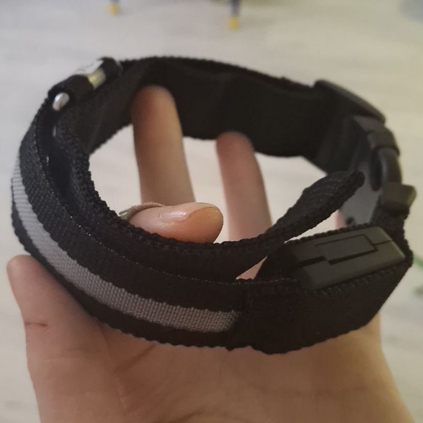 Светящийся ошейник