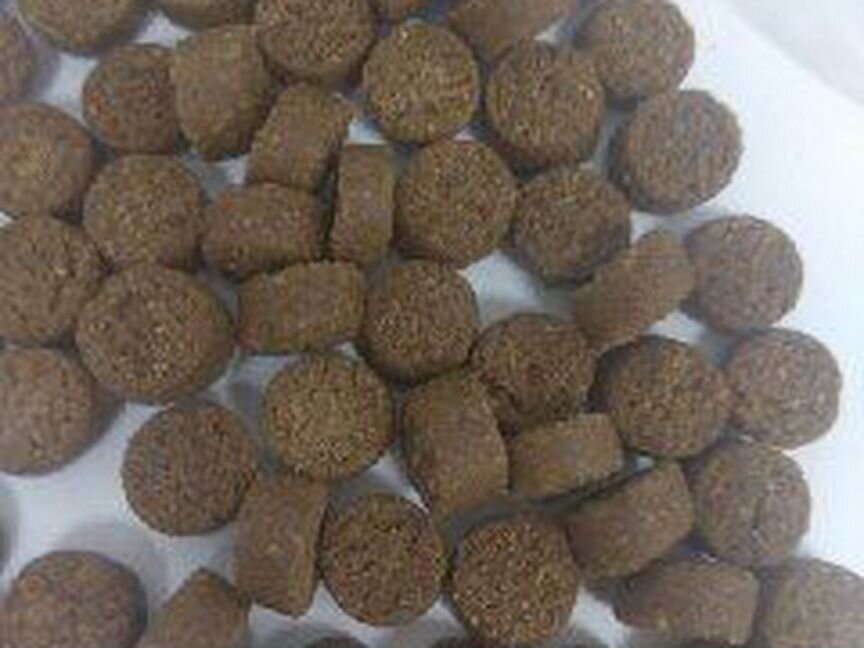 Корм для крупных собак от производителя KormUs