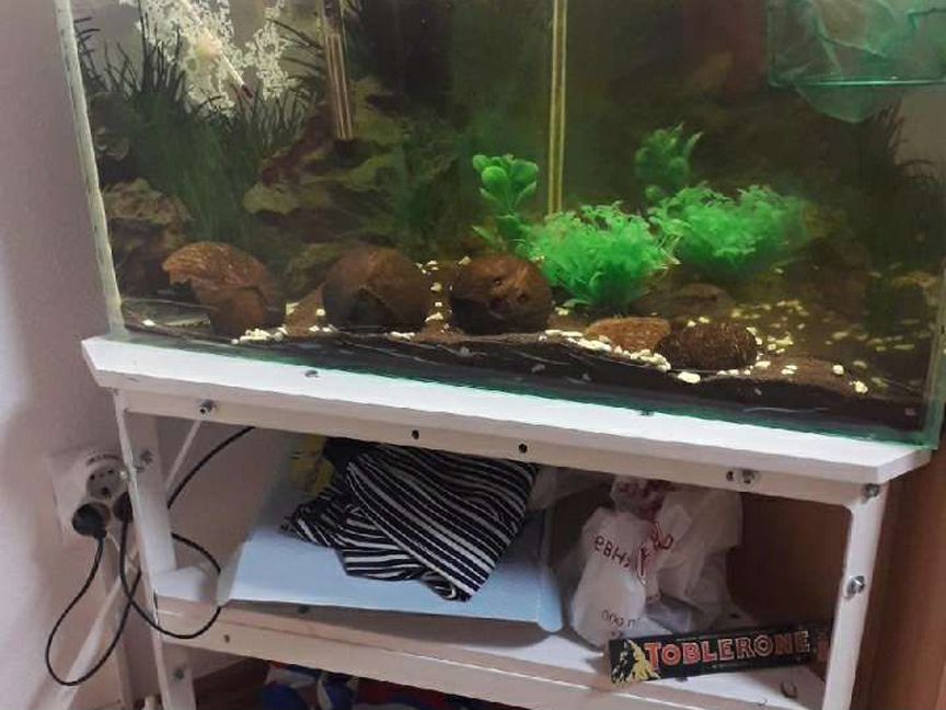 Аквариум с тумбой 100 литров+лампа и фильтр