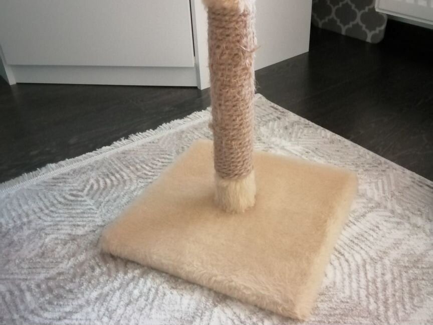 Когтеточка