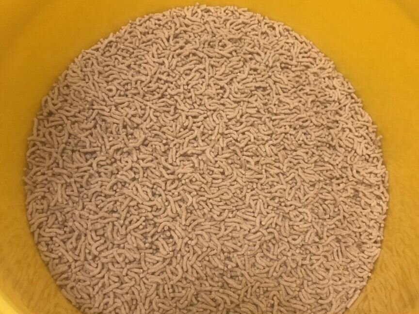 Корм для рыб Sera Cichlids sticks