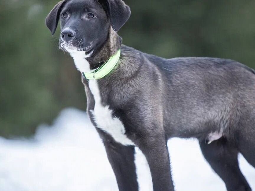 Красивый, статный мальчишка ищет свою семью