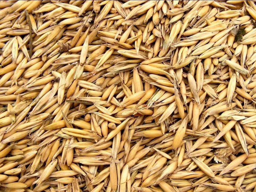 Зерносмесь овёс