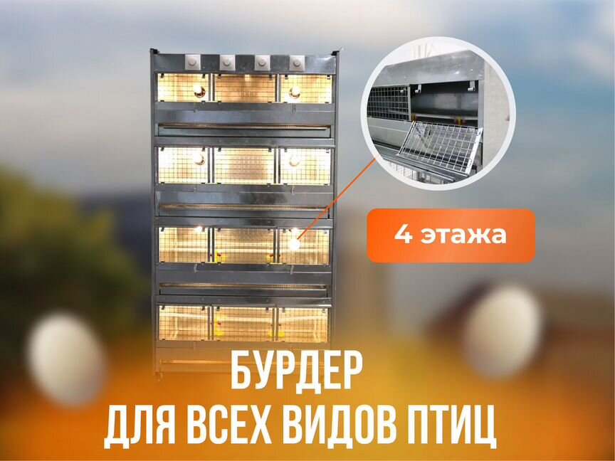 Брудер автомат для цыплят универсальный 95 см