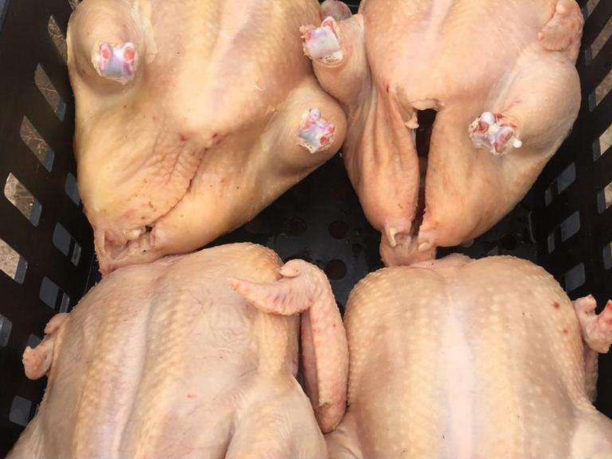 Деревенский бройлер