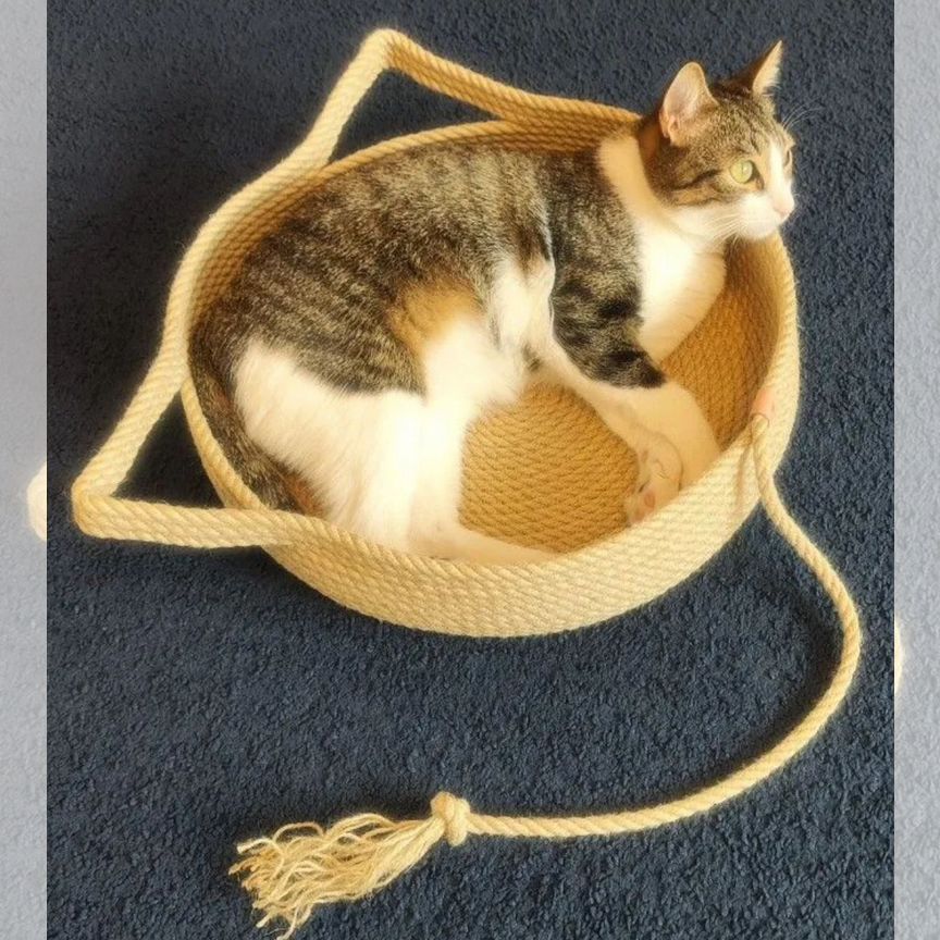 Лежанка когтеточка для животных