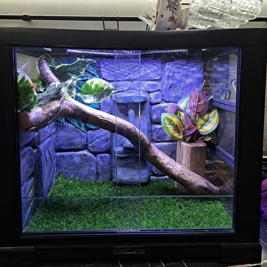 Террариум для рептилии бу