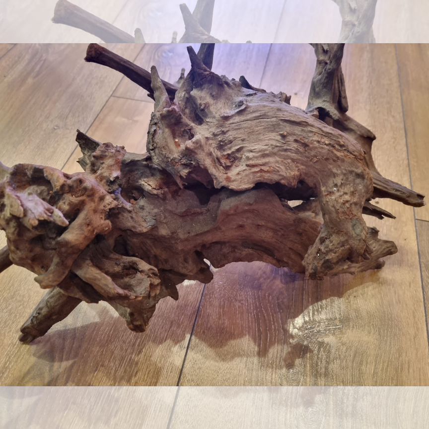 Коряга в аквариум бу