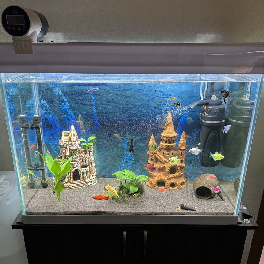 Аквариум