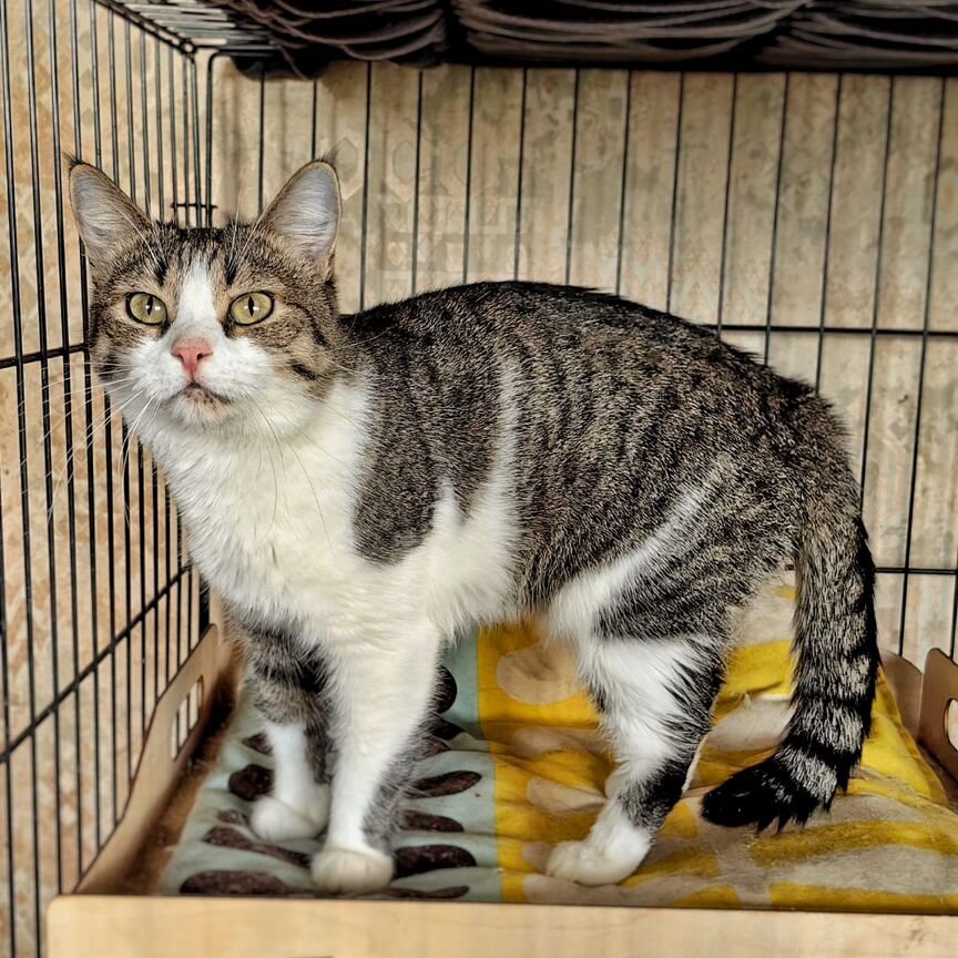 2 года в приюте для бездомных