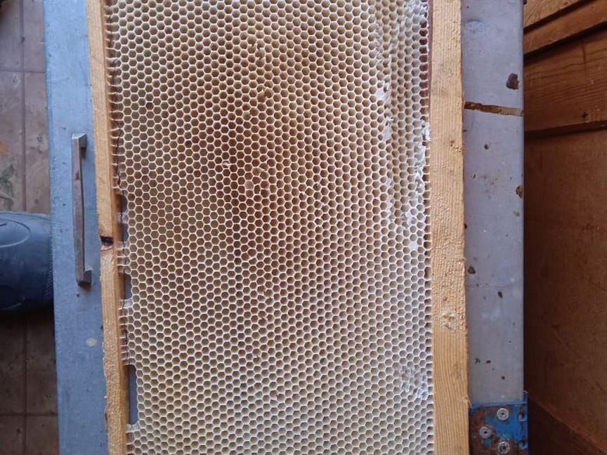 Рамки с сушью для ульев на 230