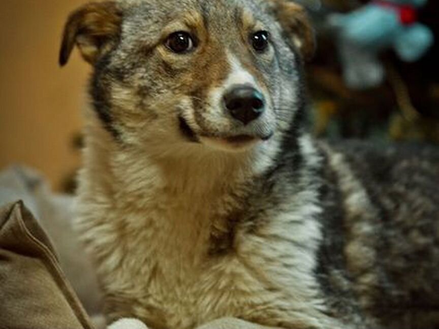 Ницца по-нашему