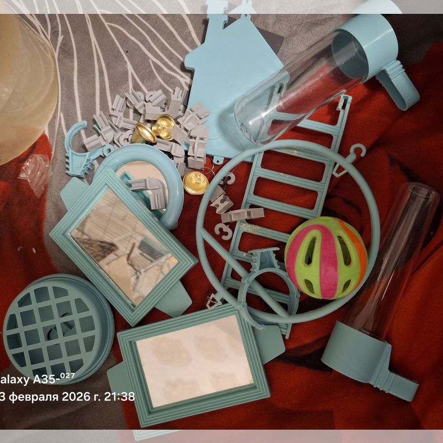 Вещи для попугаев