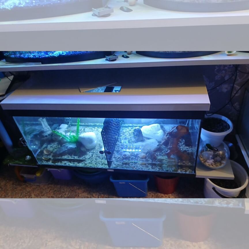 Аквариум 200л