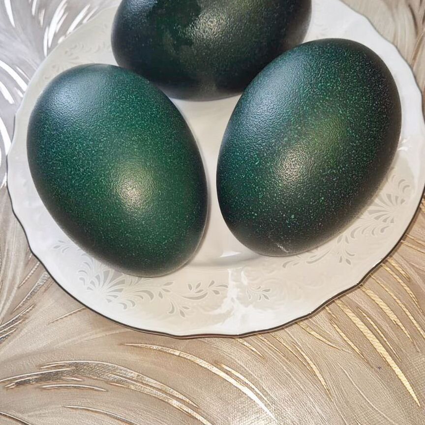 Страусиное яйцо