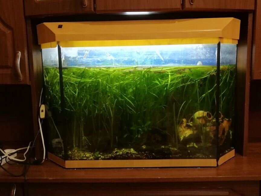 Аквариум на 120 литров