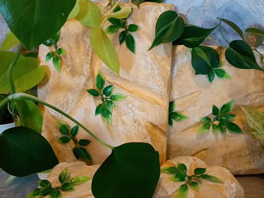 Фон для террариума