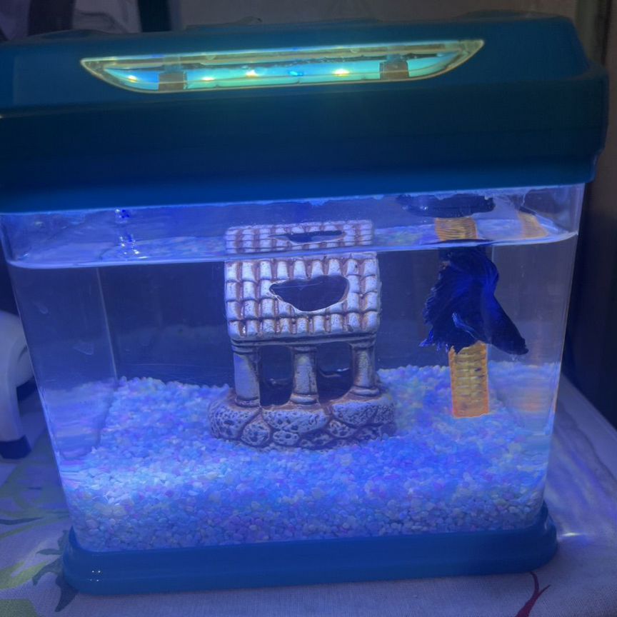 Аквариум маленький, 2 литра
