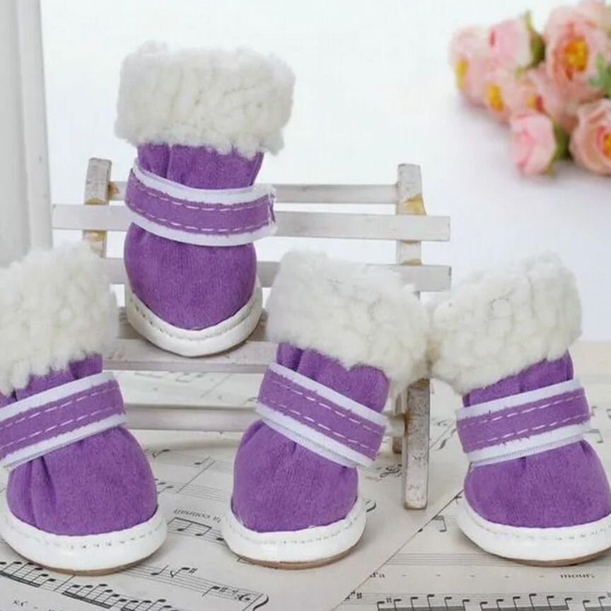 Ботиночки для маленькой собаки